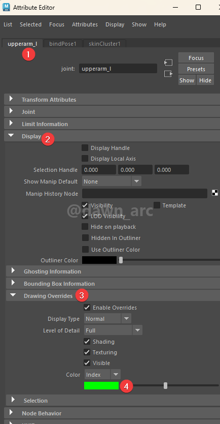 [Maya]Rigging 03 - Visualization